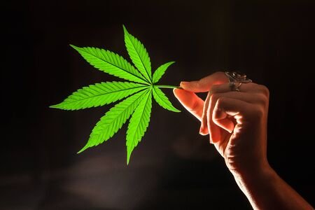 Marihuana Evolucionada: Ciencia, Tecnología y Cultivo 3D - Mistica ...